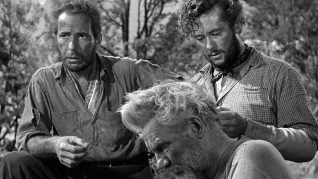 Il tesoro della Sierra Madre – My Mad Dreams